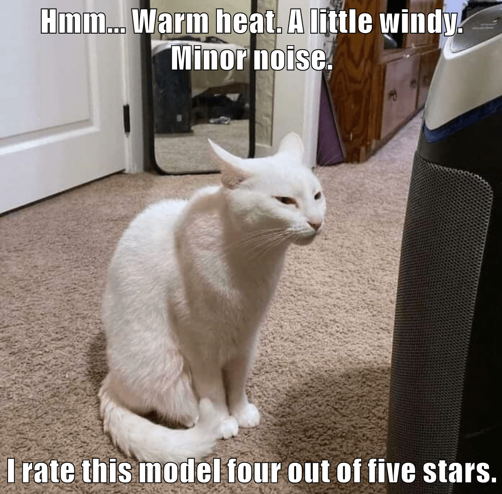 Honest Yelp review - Lolcats - lol | cat memes | funny cats | funny cat ...