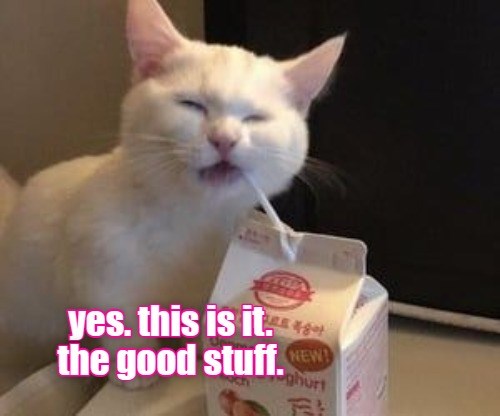 The good stuff. - Lolcats - lol | cat memes | funny cats | funny cat ...