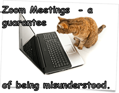 Can't focus anyway - Lolcats - lol | cat memes | funny cats | funny cat ...