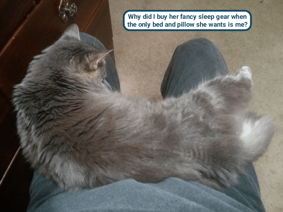 Why it always be dis way - Lolcats - lol | cat memes | funny cats ...