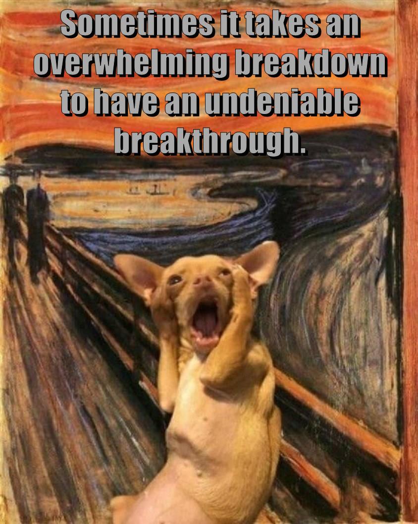We'll tell you when we're finished - Animal Comedy - Animal Comedy ...