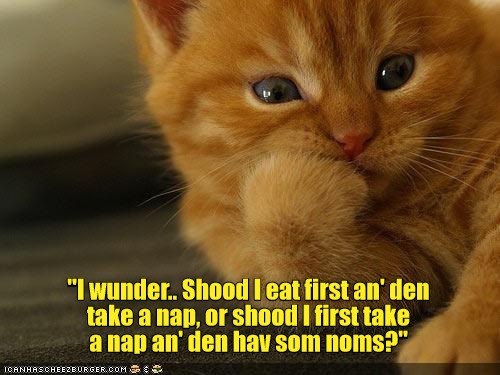 Kittie encounters a very tough decision. - Lolcats - lol | cat memes ...