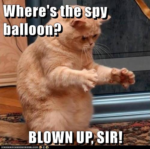 Mission accomplished - Lolcats - lol | cat memes | funny cats | funny ...