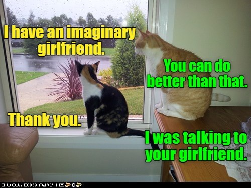 Burn - Lolcats - lol | cat memes | funny cats | funny cat pictures with ...