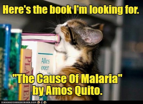 This book bites. - Lolcats - lol | cat memes | funny cats | funny cat ...