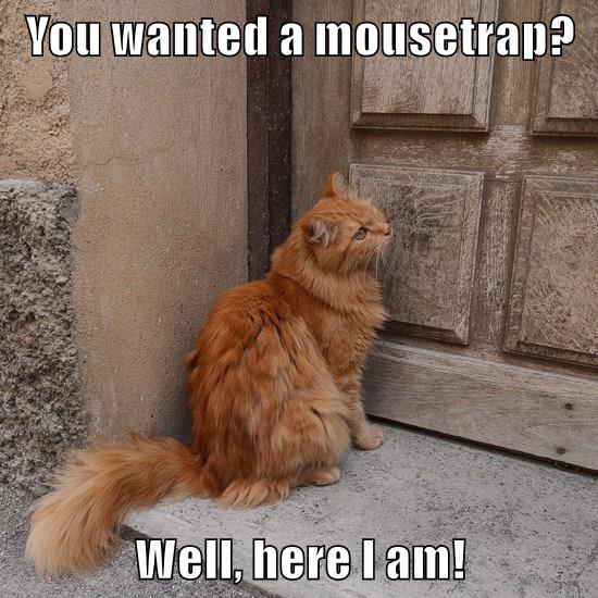 Here I am! - Lolcats - lol | cat memes | funny cats | funny cat ...