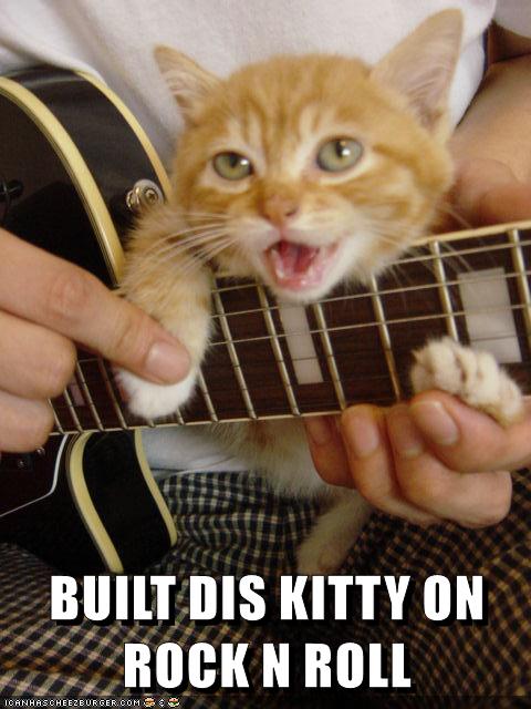 Built Dis Kitty On Rock N Roll Lolcats Lol Cat Memes Funny Cats Funny Cat Pictures