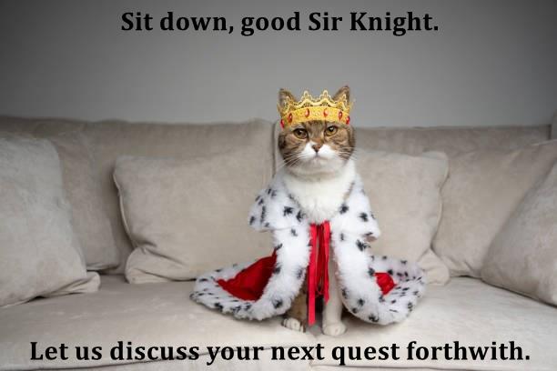 Sit down, good Sir Knight. - Lolcats - lol | cat memes | funny cats ...