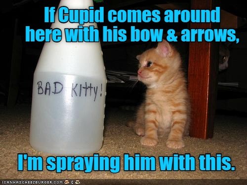 Love bug? More like bug spray. - Lolcats - lol | cat memes | funny cats ...
