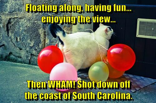 Another Chinese balloon joke? - Lolcats - lol | cat memes | funny cats | funny cat pictures with ...