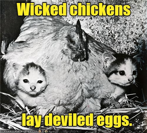 Aww, but they look so innocent. - Lolcats - lol | cat memes | funny ...