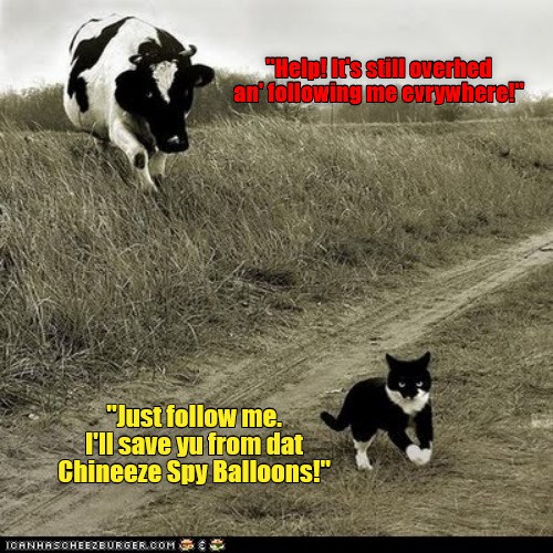 Kittie to the rescue! - Lolcats - lol | cat memes | funny cats | funny ...