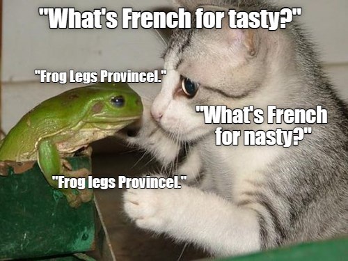 Ribet Giblets, anyone? - Lolcats - lol | cat memes | funny cats | funny ...