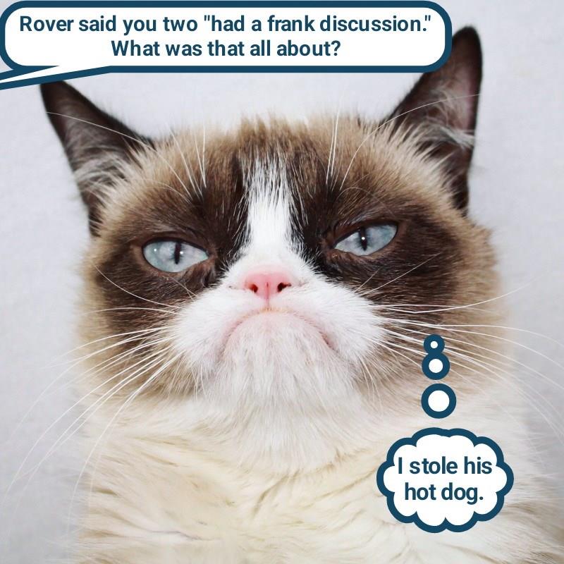 Knocked it out of the park - Lolcats - lol | cat memes | funny cats ...