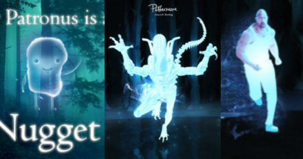 Some People Chose Their Own Patronuses and They Are Much Better Than ...