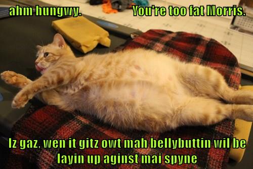 Iz gaz - Lolcats - lol | cat memes | funny cats | funny cat pictures ...