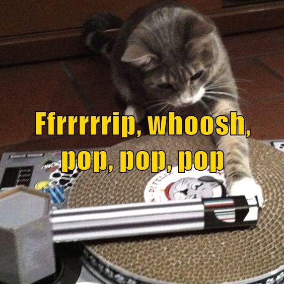 Dj Kitty Cat in da house - Lolcats - lol | cat memes | funny cats ...