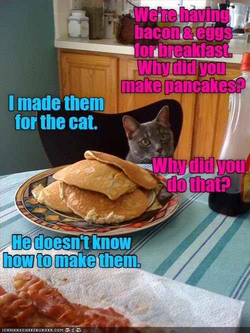 Logical excuse. - Lolcats - lol | cat memes | funny cats | funny cat ...