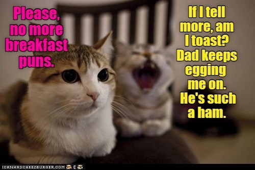 Cereally, I've had enough. - Lolcats - lol | cat memes | funny cats ...