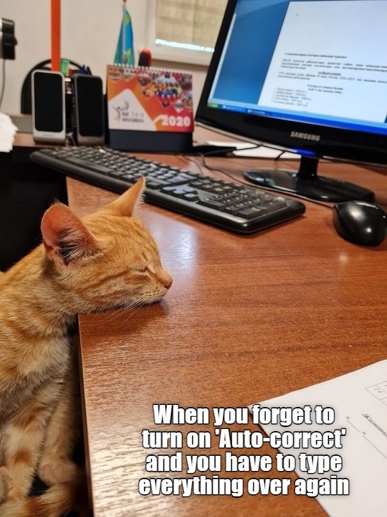 I Hate When I Do That - Lolcats - lol | cat memes | funny cats | funny ...