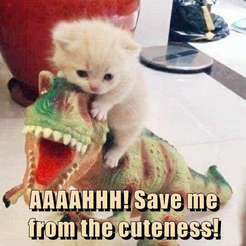 I'm scared, and I'm a T-Rex! - Lolcats - lol | cat memes | funny cats ...
