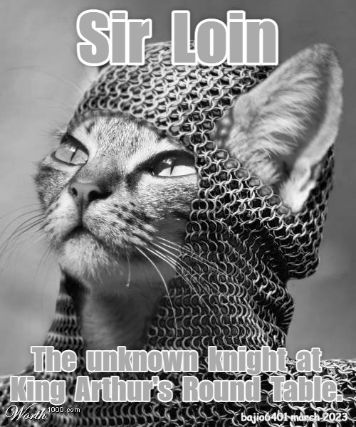 THE KNIGHTS OF THE ROUND TABLE - Lolcats - lol | cat memes | funny cats ...