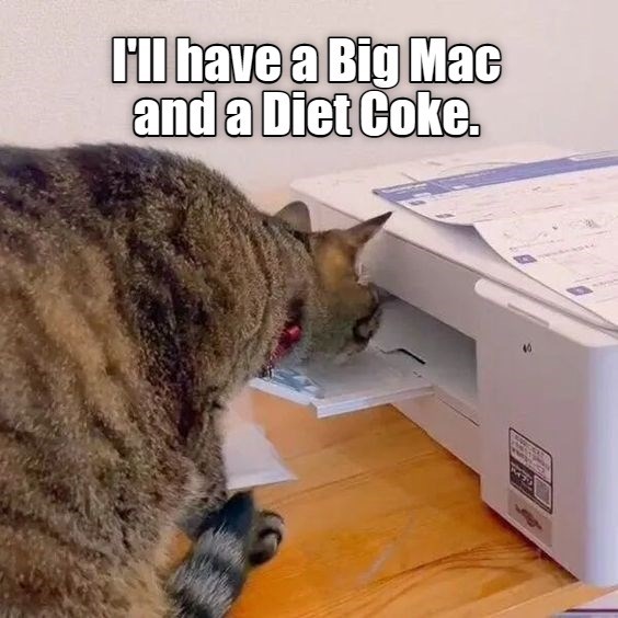 and fries of course - Lolcats - lol | cat memes | funny cats | funny ...