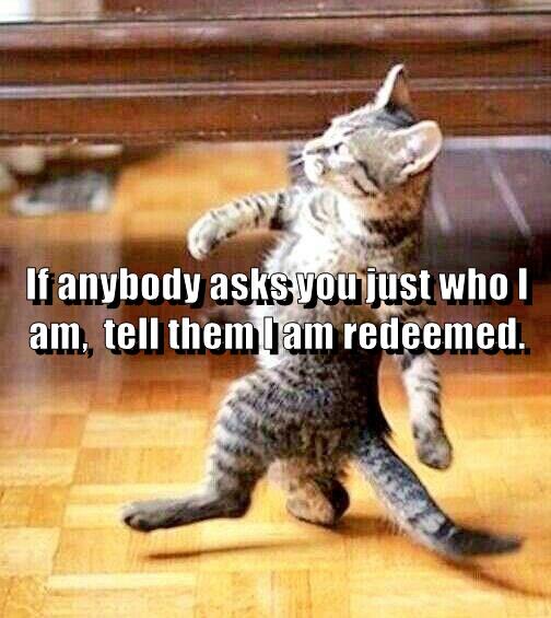 REDEEMED - Lolcats - lol | cat memes | funny cats | funny cat pictures ...