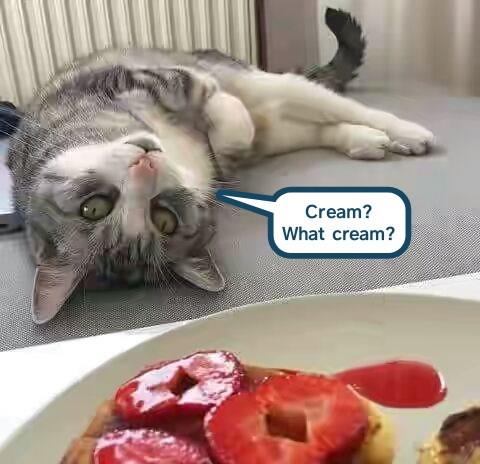 Can't you eat strawberries plain? - Lolcats - lol | cat memes | funny ...
