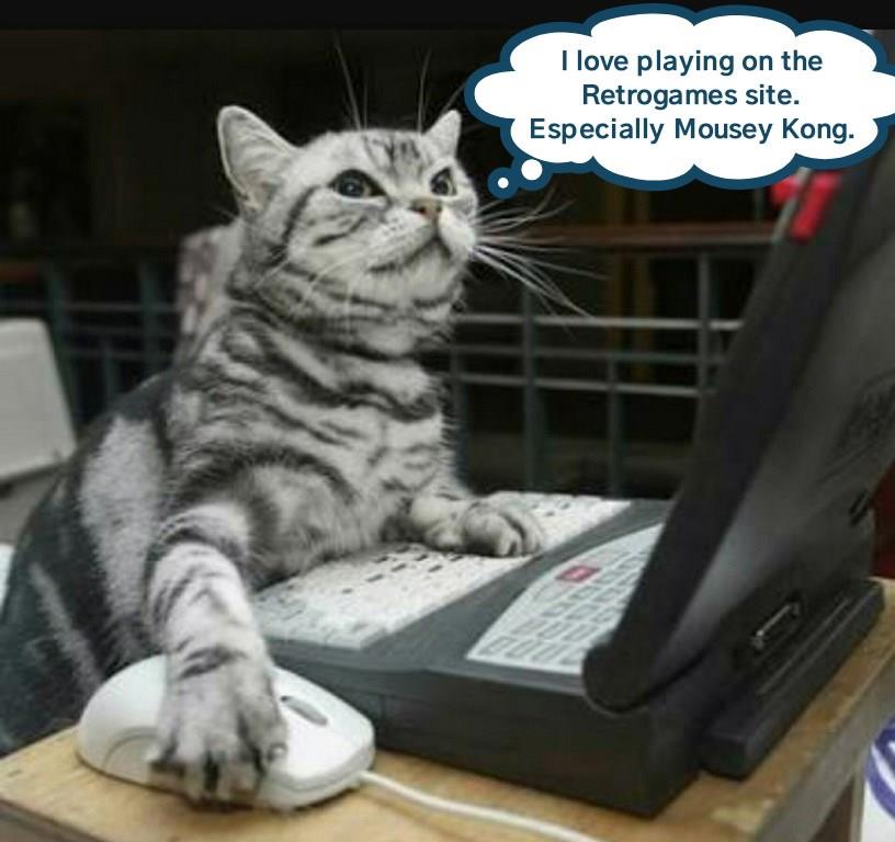 And Pac Cat, 'cause hyper-nomming's my thing - Lolcats - lol | cat ...