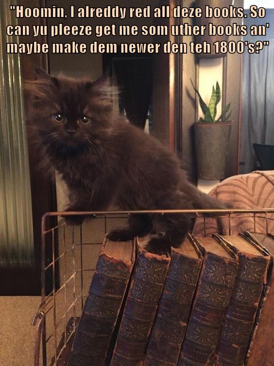 Gib something to red - Lolcats - lol | cat memes | funny cats | funny ...