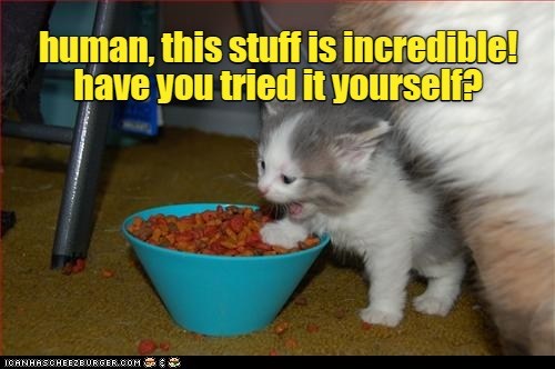 crunchy, and full of flavor - Lolcats - lol | cat memes | funny cats ...