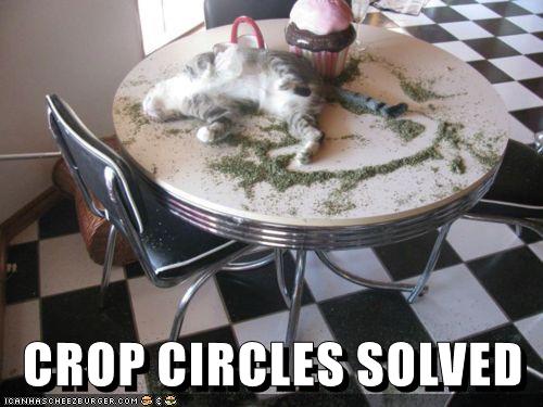 Finally, the mystery of 'Signs' is solved - Lolcats - lol | cat memes ...