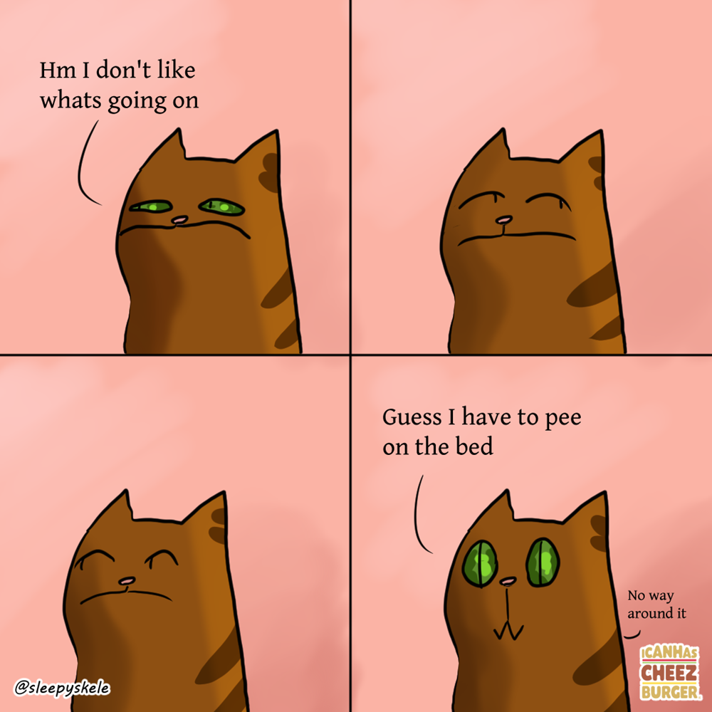 Gotta go - I Can Has Cheezburger?