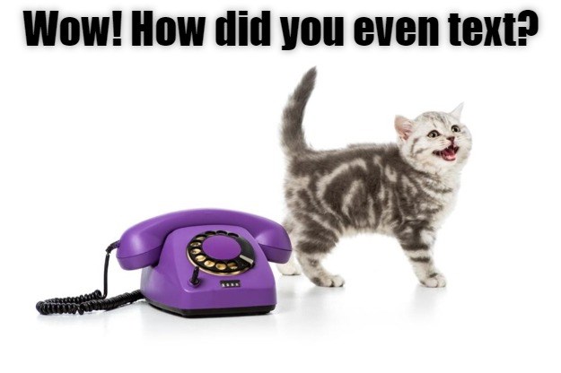 Back in old-timey times... - Lolcats - lol | cat memes | funny cats ...