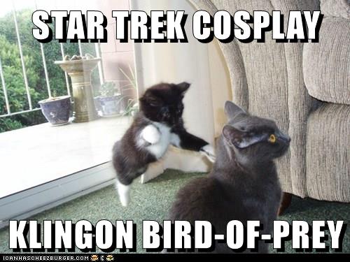 Live long and....perish! - Lolcats - lol | cat memes | funny cats ...