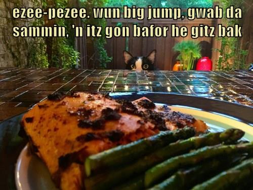 Ninja cat always on the prowl - Lolcats - lol | cat memes | funny cats ...