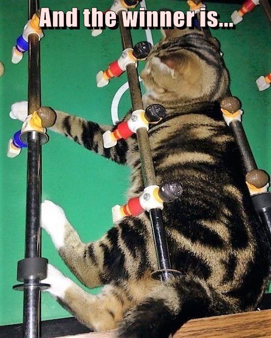 Me, as always - Lolcats - lol | cat memes | funny cats | funny cat ...