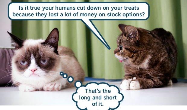 Humans guessed wrong - Lolcats - lol | cat memes | funny cats | funny ...