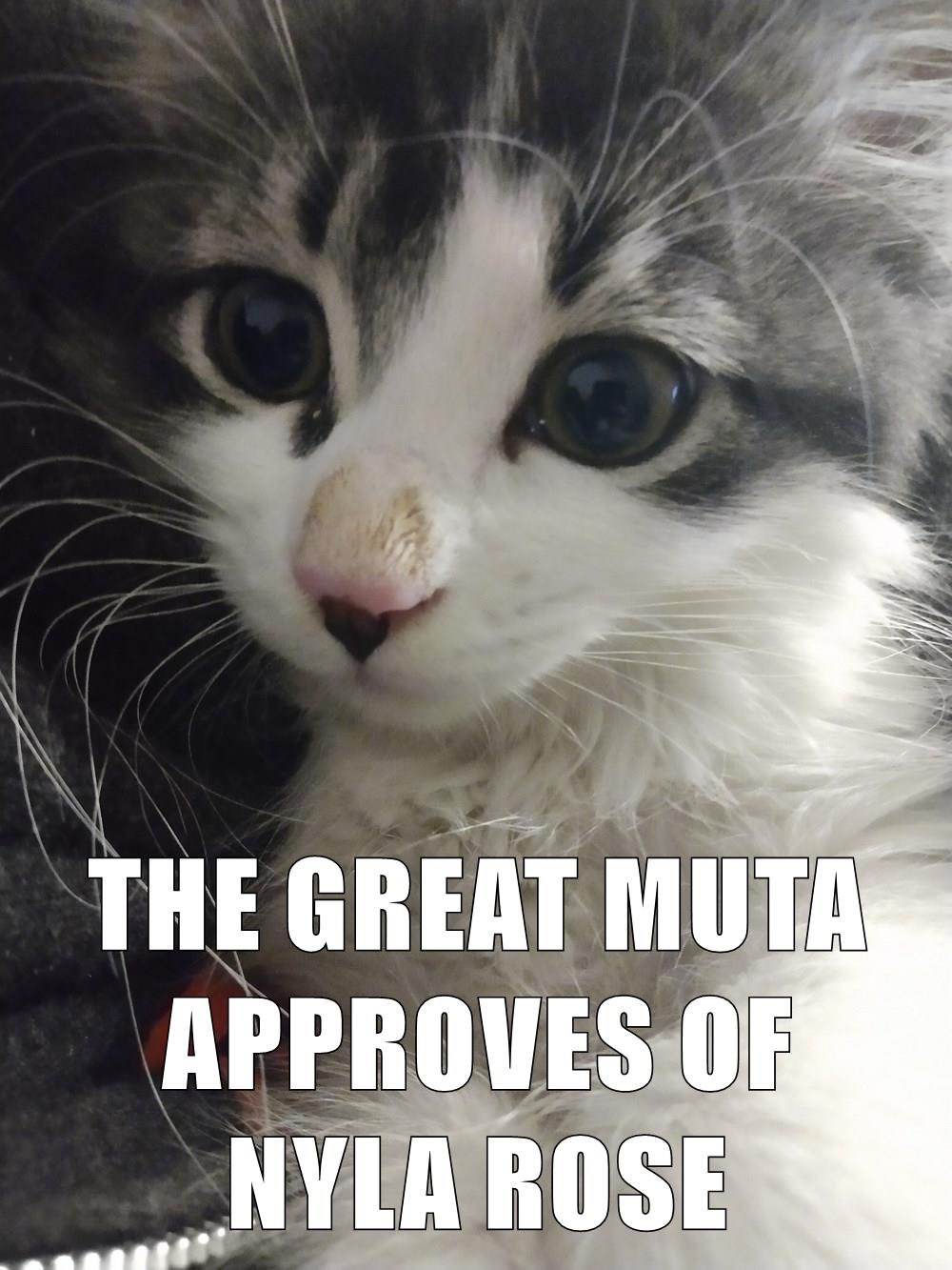 THE GREAT MUTA - Lolcats - lol | cat memes | funny cats | funny cat ...