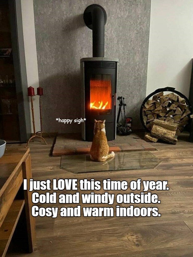 *happy sigh* - Lolcats - lol | cat memes | funny cats | funny cat ...