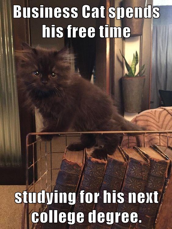 Not to brag, but he knows the "Cat in the Hat" by heart - Lolcats - lol ...