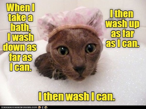 Too much information? - Lolcats - lol | cat memes | funny cats | funny ...