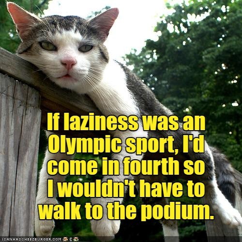 Championship material. - Lolcats - lol | cat memes | funny cats | funny ...