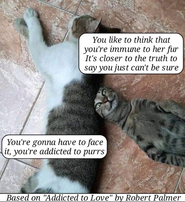 With apologies to the artist - Lolcats - lol | cat memes | funny cats ...