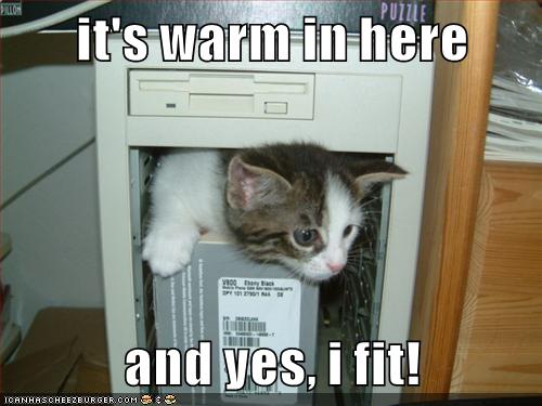 I Fits - Lolcats - lol | cat memes | funny cats | funny cat pictures ...
