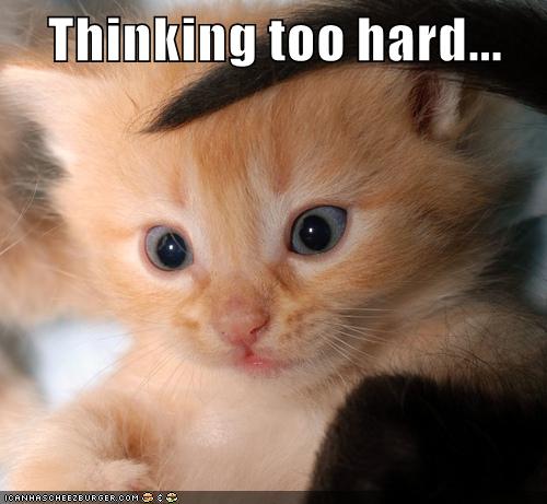 Thinking too hard... - Lolcats - lol | cat memes | funny cats | funny ...