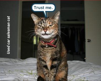 Used car salesman cat - Lolcats - lol | cat memes | funny cats | funny ...