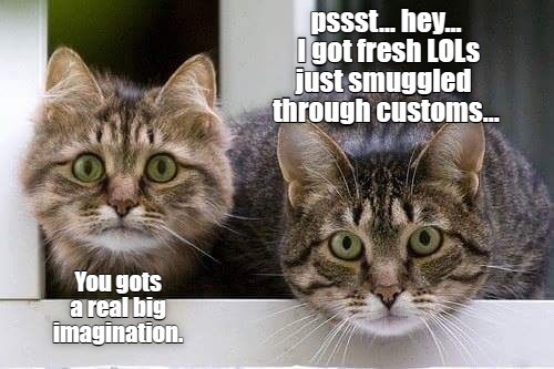 Street Legal - Lolcats - lol | cat memes | funny cats | funny cat ...