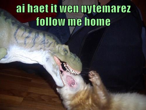 Why is this large bald cat chasing meeeee - Lolcats - lol | cat memes ...